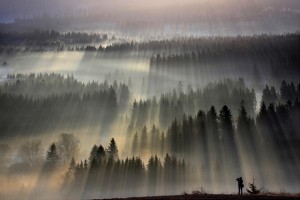 Beautiful Morning Photography | Incredible Snaps