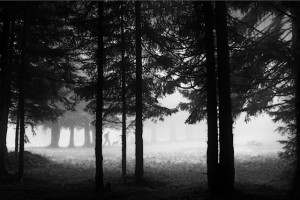 Beautiful Morning Photography | Incredible Snaps