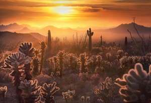 Beautiful Morning Photography | Incredible Snaps