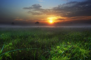 Beautiful Morning Photography | Incredible Snaps