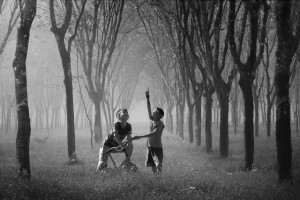 Beautiful Morning Photography | Incredible Snaps