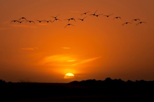 Beautiful Morning Photography | Incredible Snaps