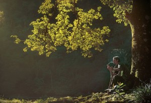 Beautiful Morning Photography | Incredible Snaps