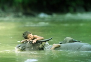 Beautiful Morning Photography | Incredible Snaps