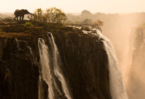Beautiful Morning Photography | Incredible Snaps