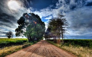 Mesmerising Landscape Photography | Incredible Snaps