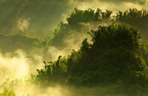 Mesmerising Landscape Photography | Incredible Snaps
