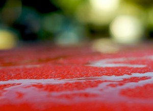 55 Stunning Dew Drop Photographs | Incredible Snaps