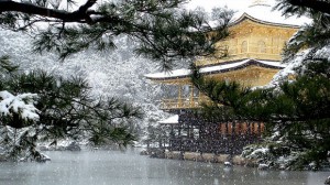 40 Beautiful Snow Pictures | Incredible Snaps