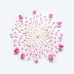Excellent Arrangement of Exploded Flowers | Incredible Snaps