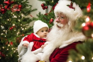 Amazing Christmas Photography | Incredible Snaps