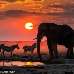 Bubble Photography by Richard Heeks | Incredible Snaps